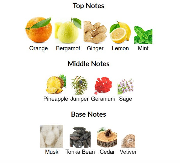 M-ARMAF ODYSSEY MEGA - Shop Aromatix